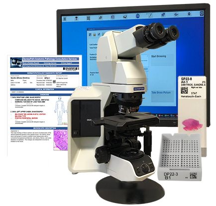 home_template_c_header | Stellar Lab Systems v7